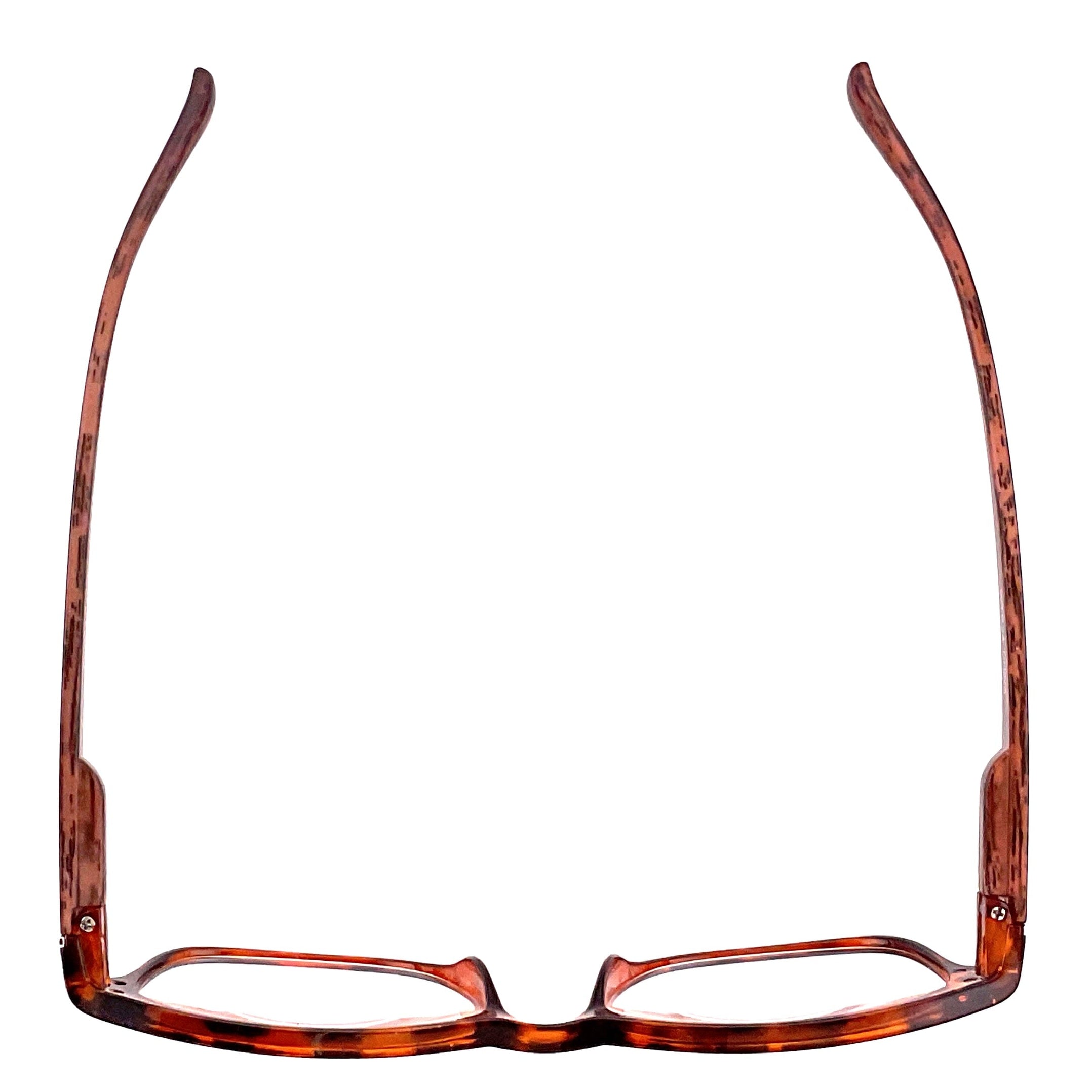 Wood Tone Wayfarer Readers With Clear Case — Troy's Readers